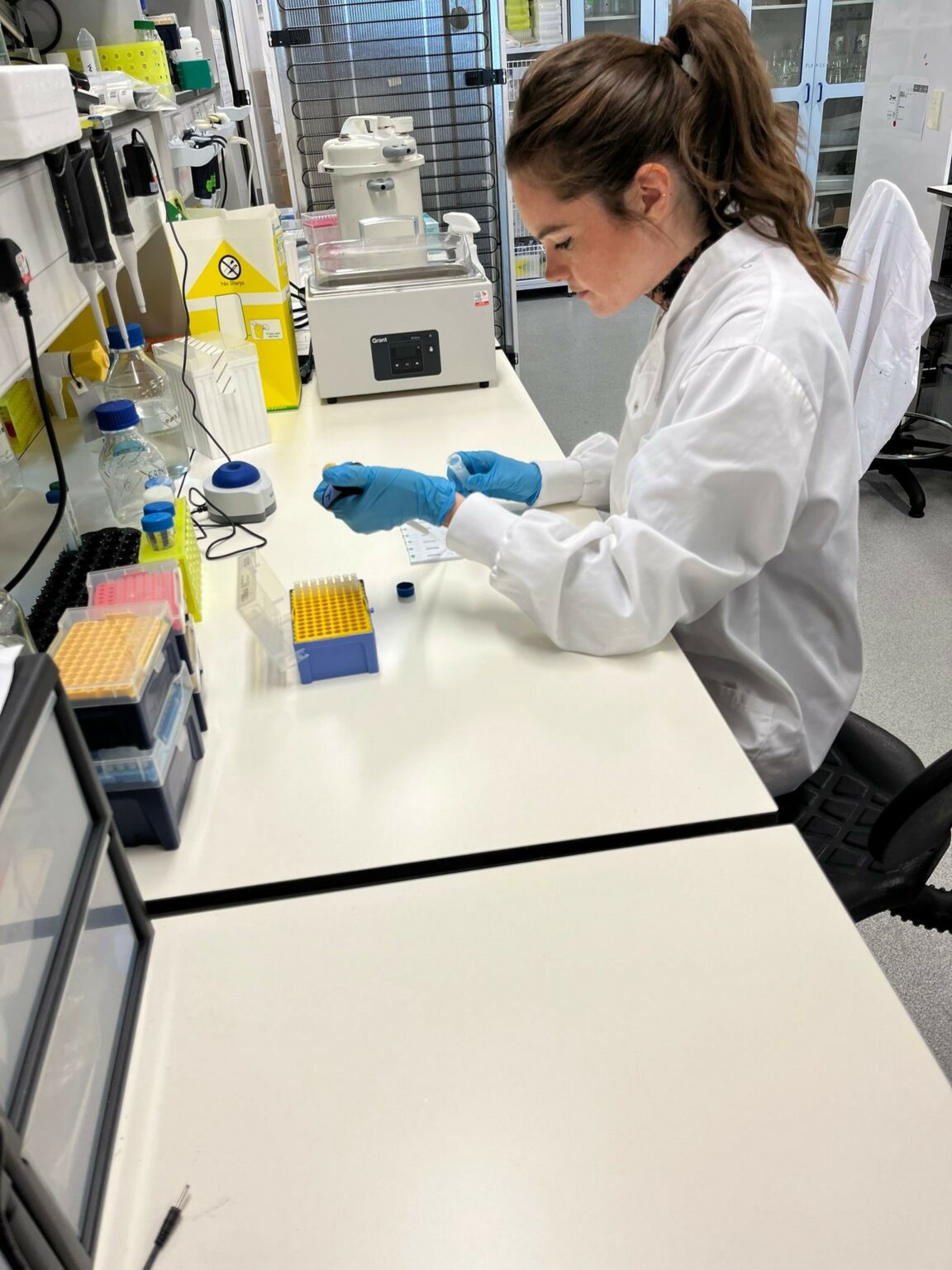 News – The Pandemic Institute